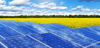 David Popp - The five rules for governments that want to go green – C.D ...